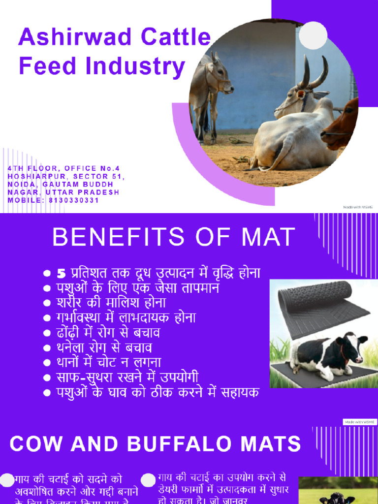 Cattle Feed | PDF