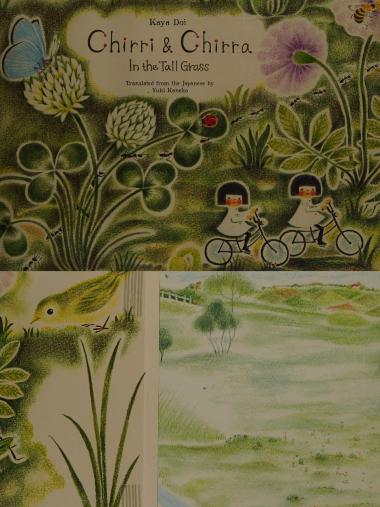 Chirri & Chirra in The Tall Grass - Anna's Archive | PDF