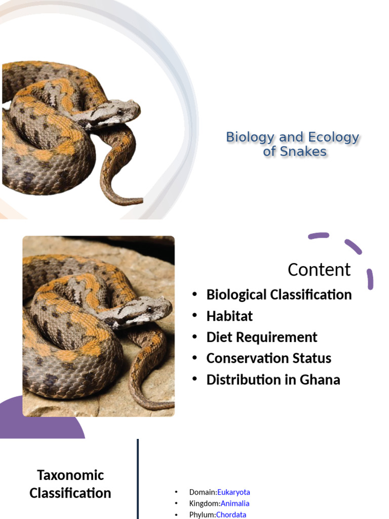 Snakes ppt | PDF | Snake | Predation