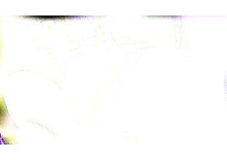 PDFReader 20241210 1606 | PDF