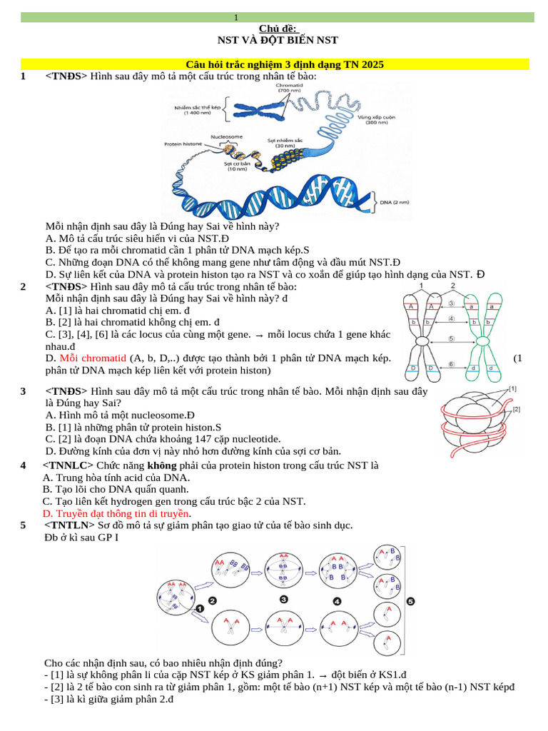 - ĐỘT BIẾN NST - NST | PDF