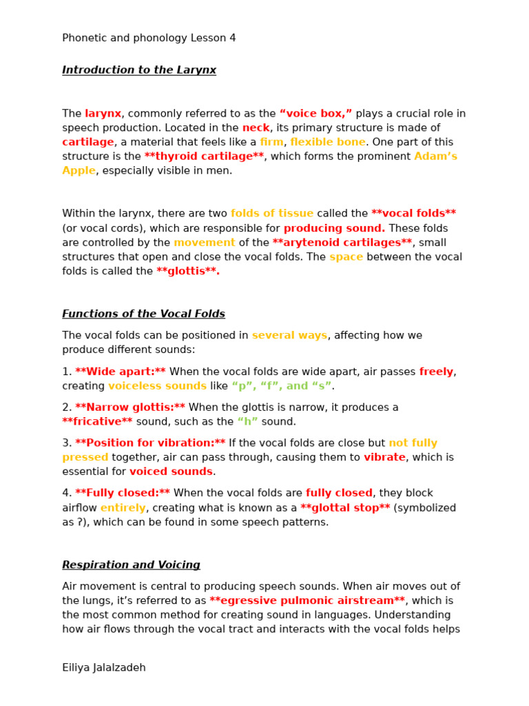 Phonetic and Phonology Lesson 4 (Page 22 To 30) | PDF | Phonetics | Larynx