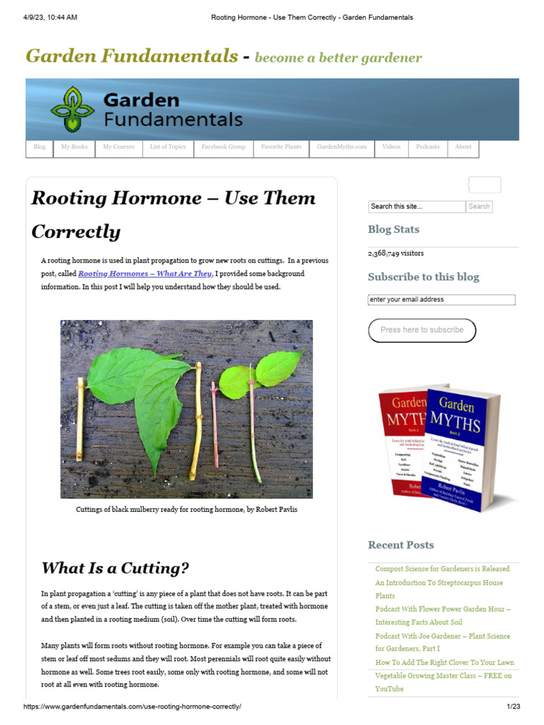 Correct Use of Rooting Hormone Guide | PDF | Root | Auxin