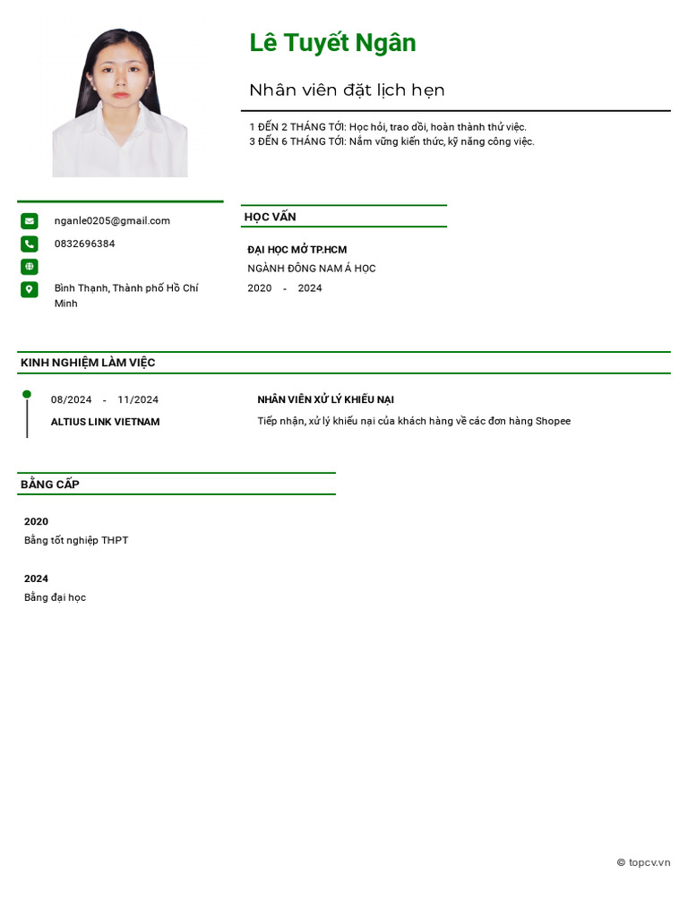 Le Tuyet Ngan TopCV - VN 031224.94000 | PDF