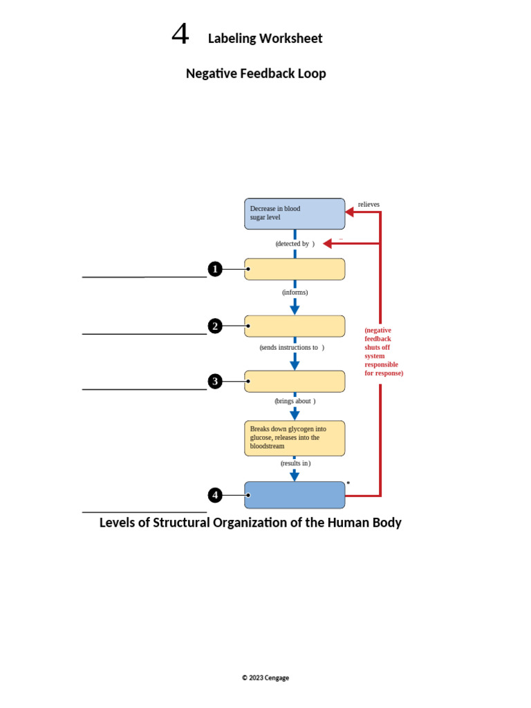 Chapter 2 Labeling Worksheets | PDF