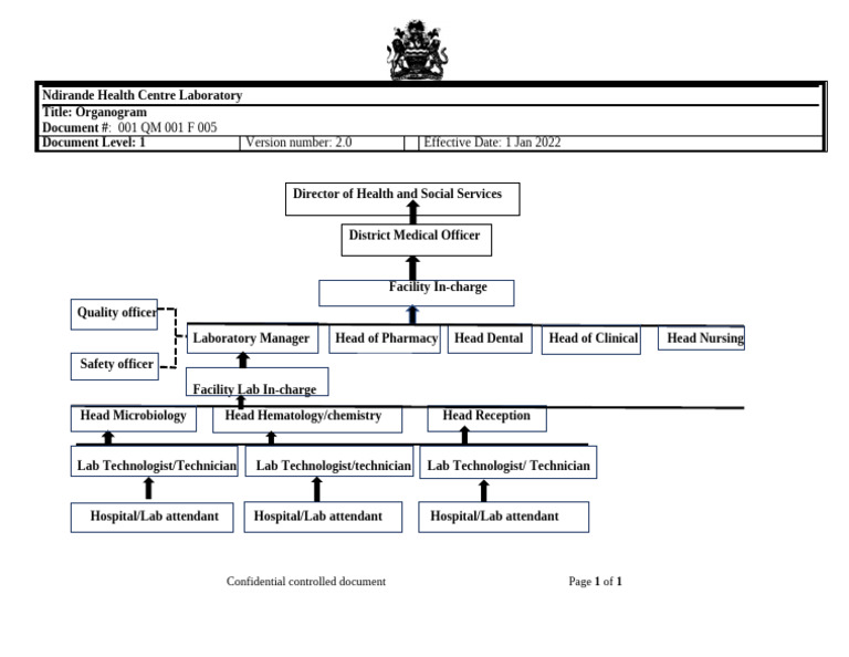 Ndirande Organogram | PDF