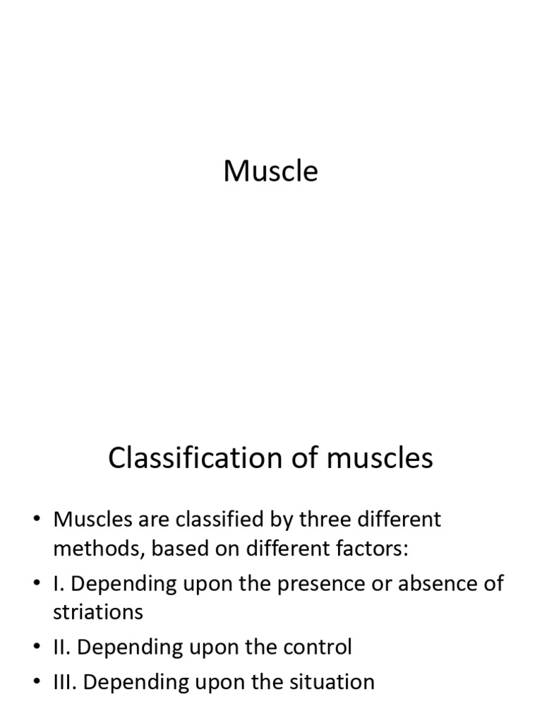 Muscle | PDF | Muscle | Muscle Contraction