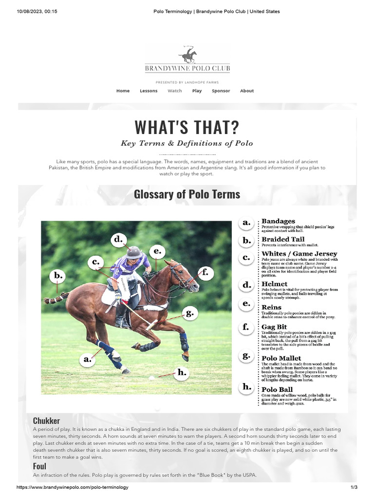 Polo Terminology - Brandywine Polo Club - United States | PDF | Sports ...