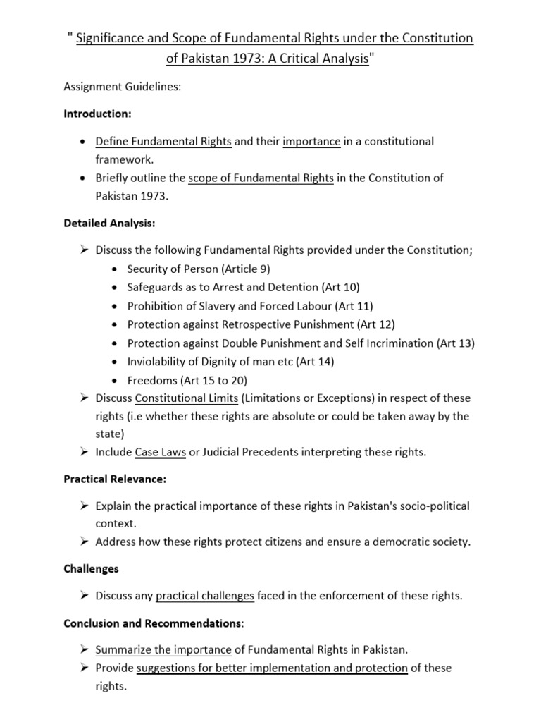 Assignment Fundamental Rights | PDF