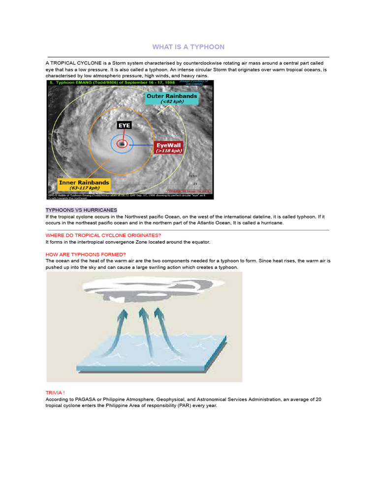 Understanding Typhoons and Their Formation | PDF