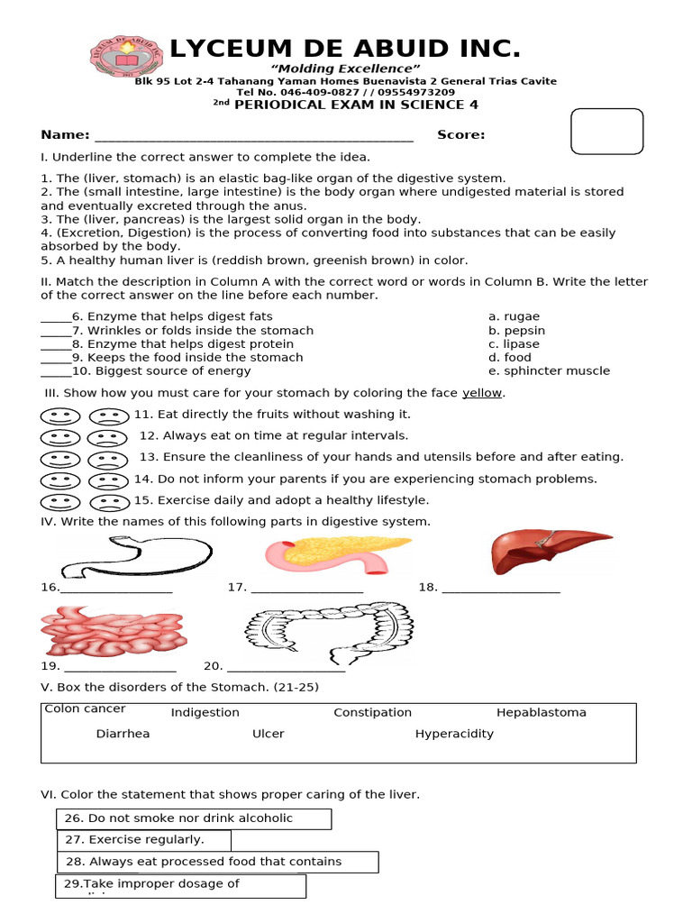 part3-jamisola | PDF | Flowers | Digestion