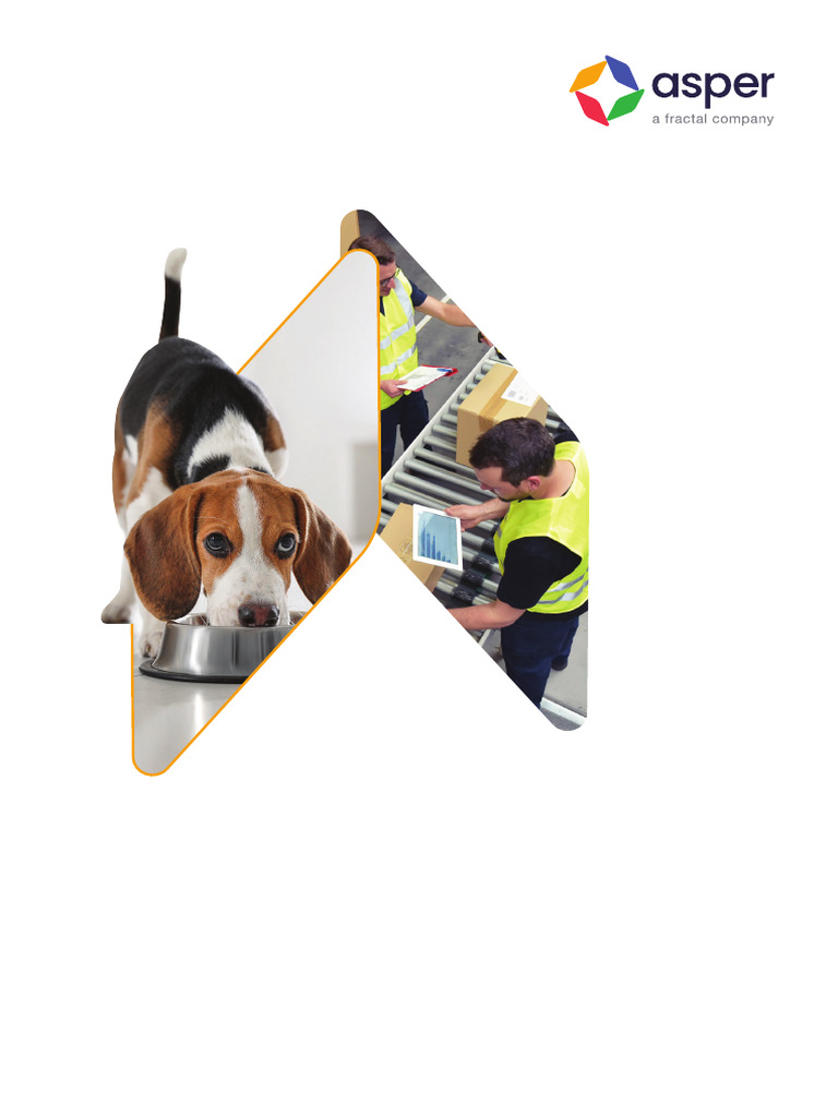 Asper Case-Study - Pet-Nutri Final | PDF | Forecasting | Demand