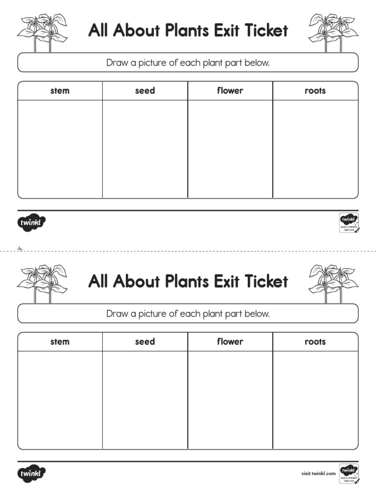 Early Childhood All About Plants Exit Ticket | PDF