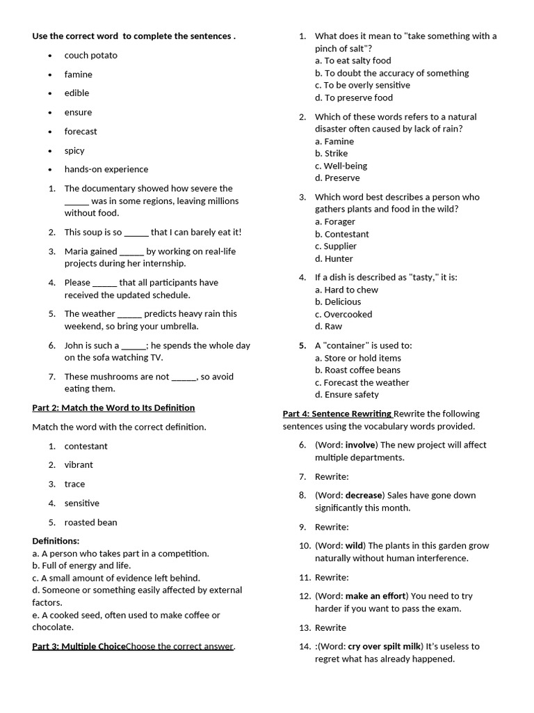 Vocabulary Exercises and Definitions | PDF