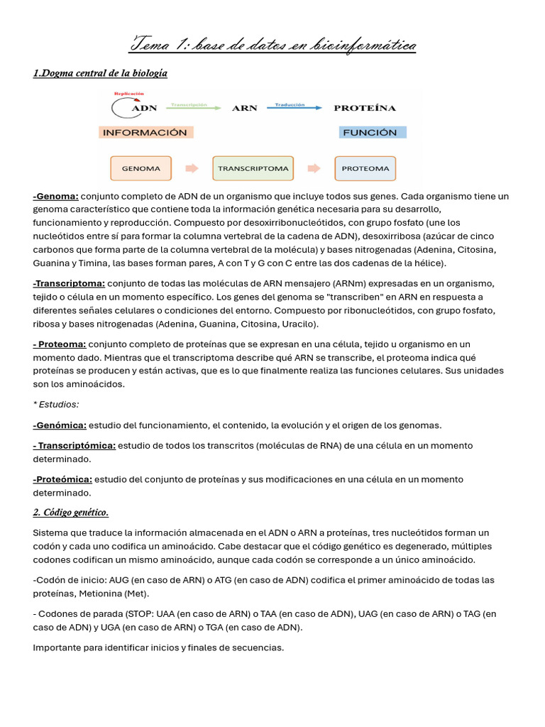 Tema 1 Base de Datos en Bioinformática | PDF | Rna | Messenger Rna