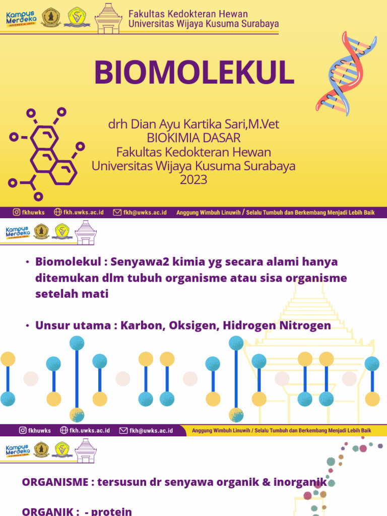Materi 2. Biomolekul 2023 | PDF