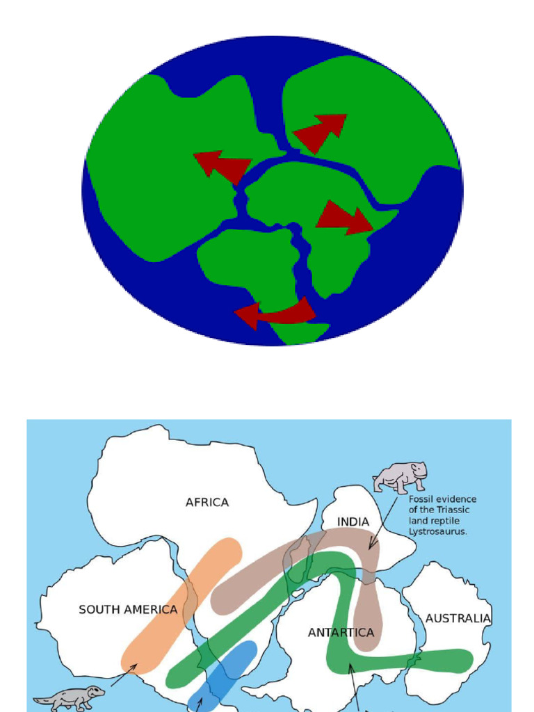 Puzzle of Continental Drift | PDF