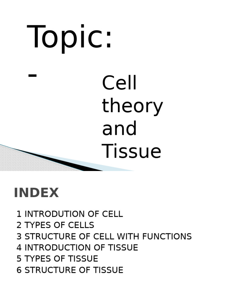 Cell Final Pdf Endoplasmic Reticulum Epithelium