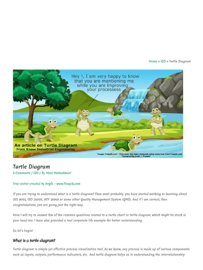 Turtle Meet | PDF