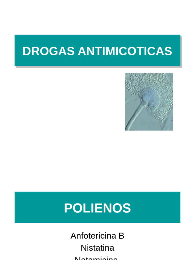 Antimicoticos Uba 2024 | PDF