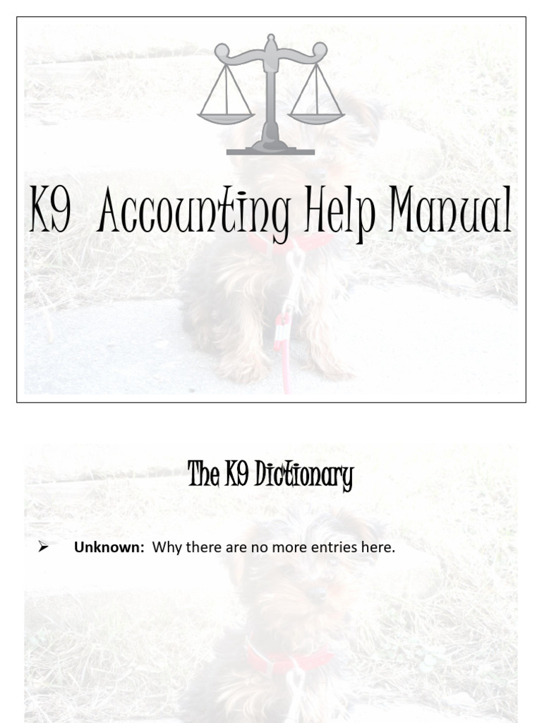 K9 Accounting Help Manual | PDF