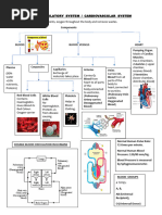 Types of Incision | PDF | Abdomen | Surgery