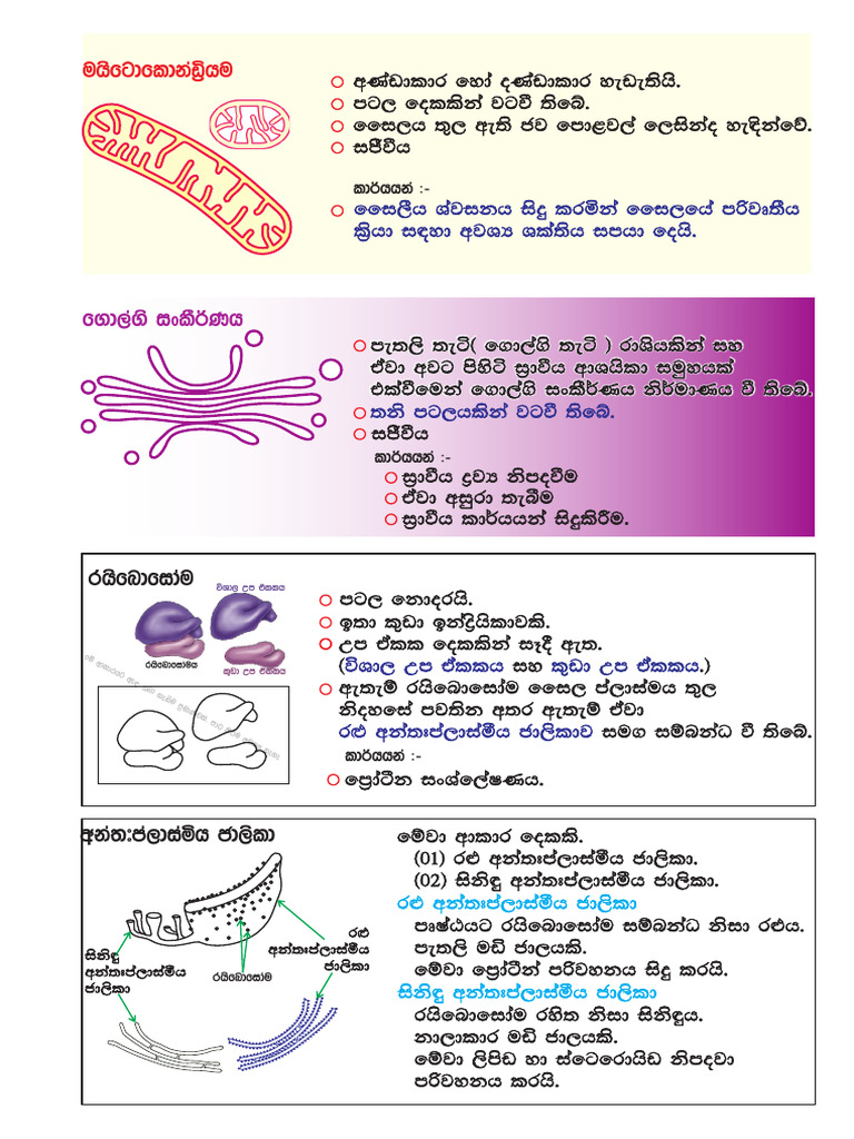 Grade 10 Unit 6 Note 05 | PDF