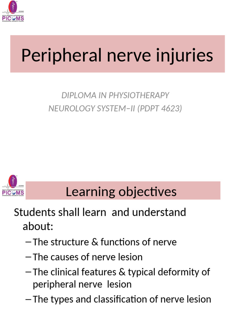 Understanding Peripheral Nerve Injuries | PDF | Axon | Nerve