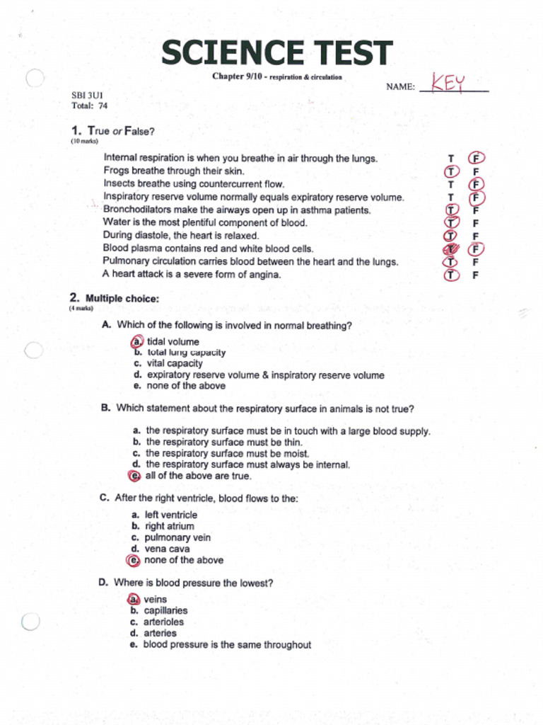 TEST - Respiration & Circulation #3 (KEY) | PDF