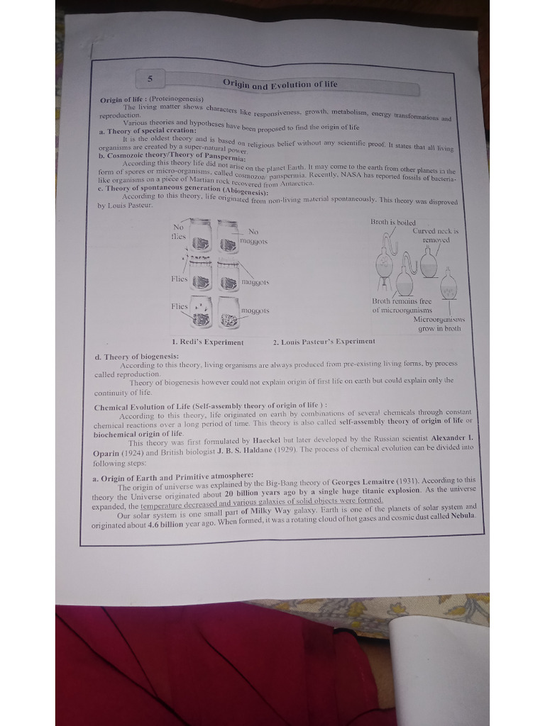 5 - Origin and Evolution of Life | PDF
