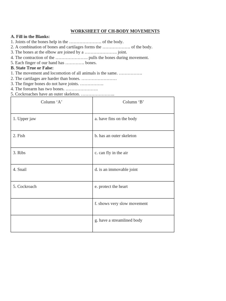 Worksheet of Ch-Body Movements | PDF | Skeleton | Joint