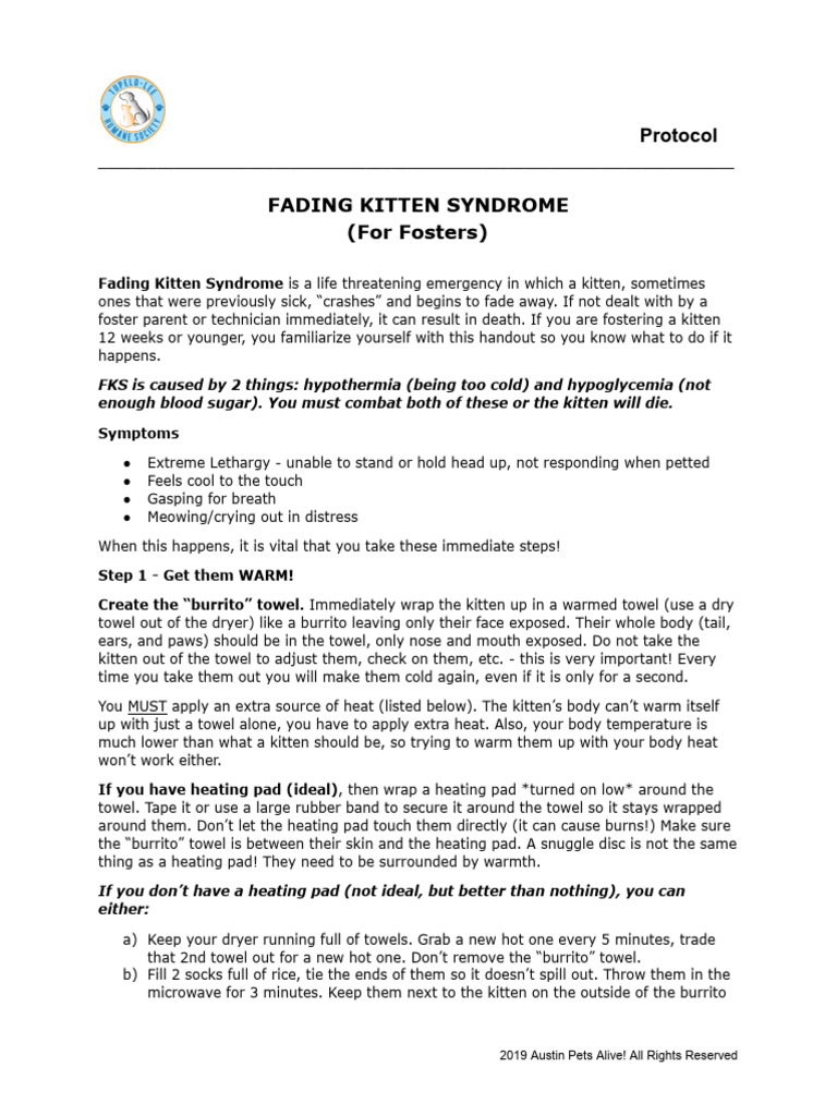 Fading-Kitten-Syndrome-1 | PDF | Clinical Medicine | Diseases And Disorders
