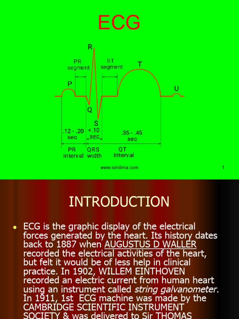 Ecg | PDF | Electrocardiography | Myocardial Infarction