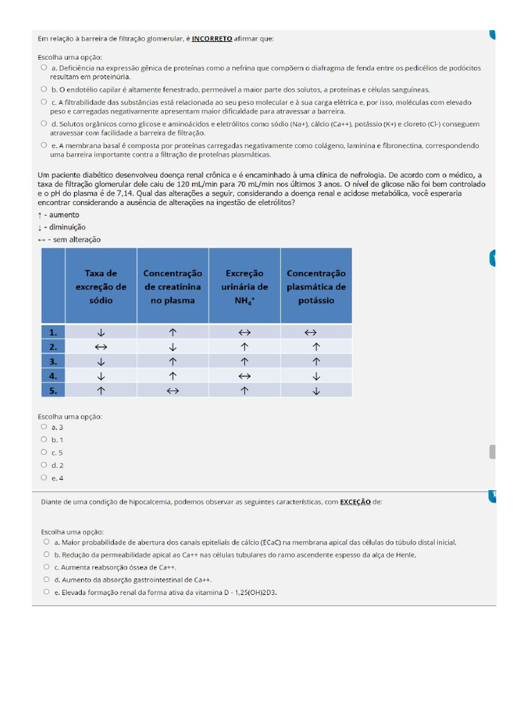 Compilado Prova Renal Drive | PDF