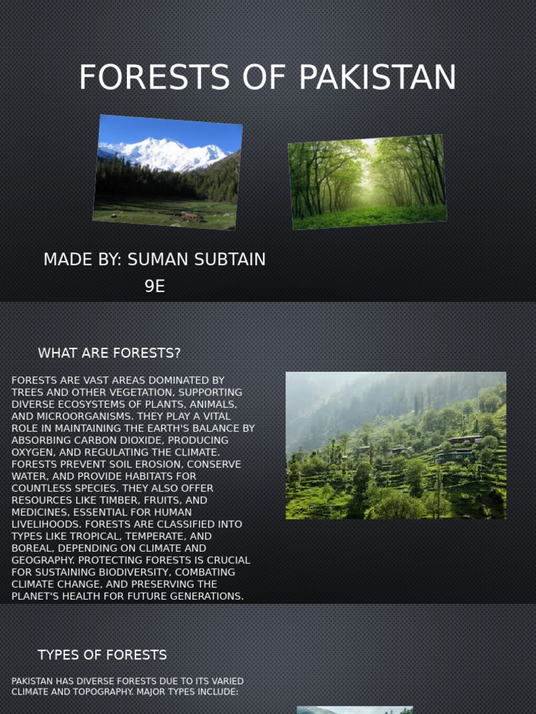Forests of Pakistan | PDF | Forests | Deforestation