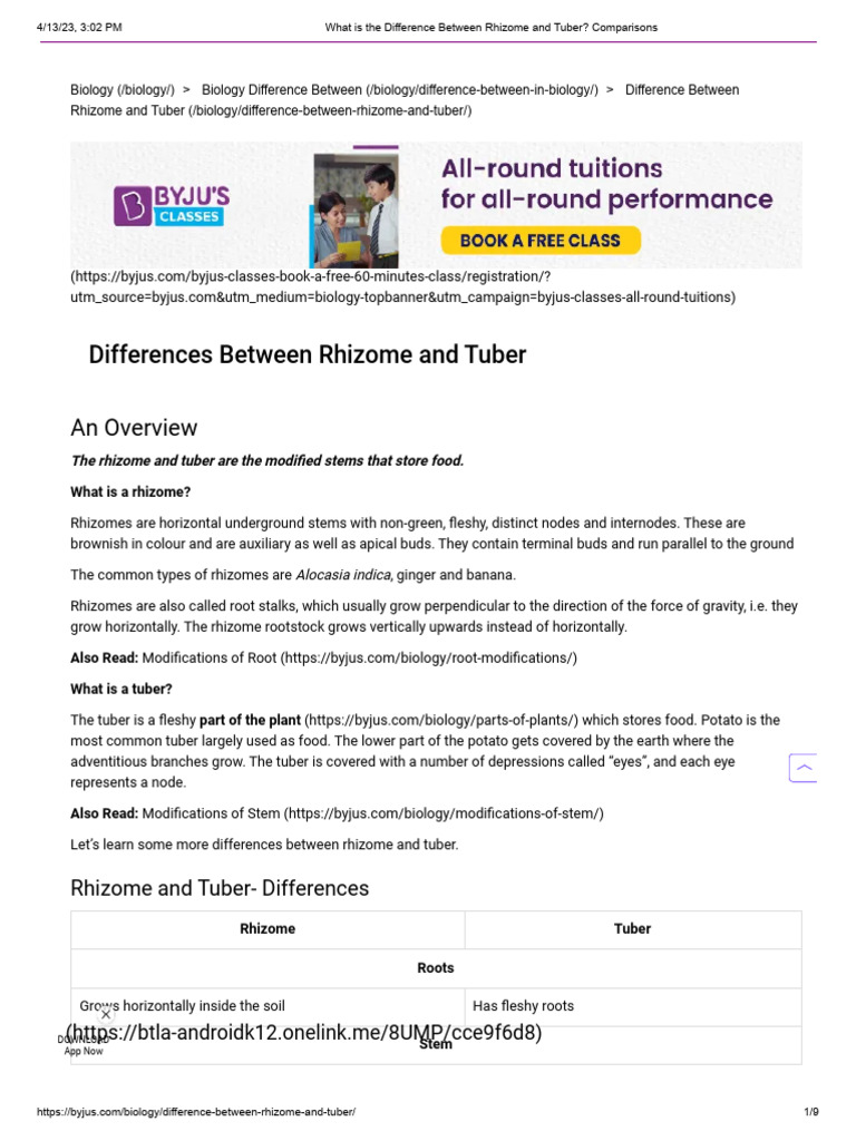 What Is The Difference Between Rhizome and Tuber - Comparisons | PDF | Plant Morphology | Botany