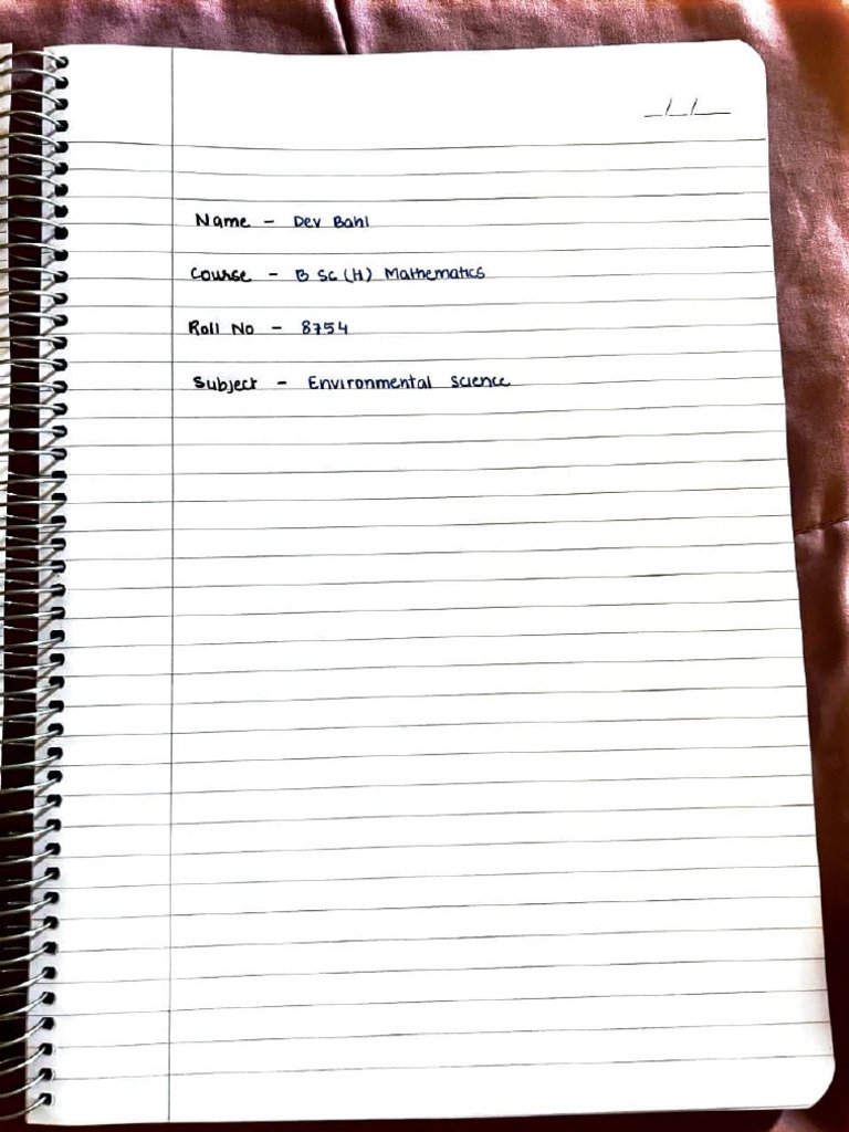 EVS Assignment | PDF