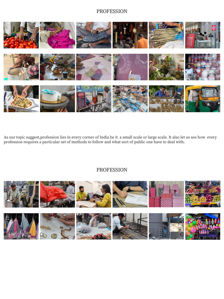 Understanding Professions in India | PDF
