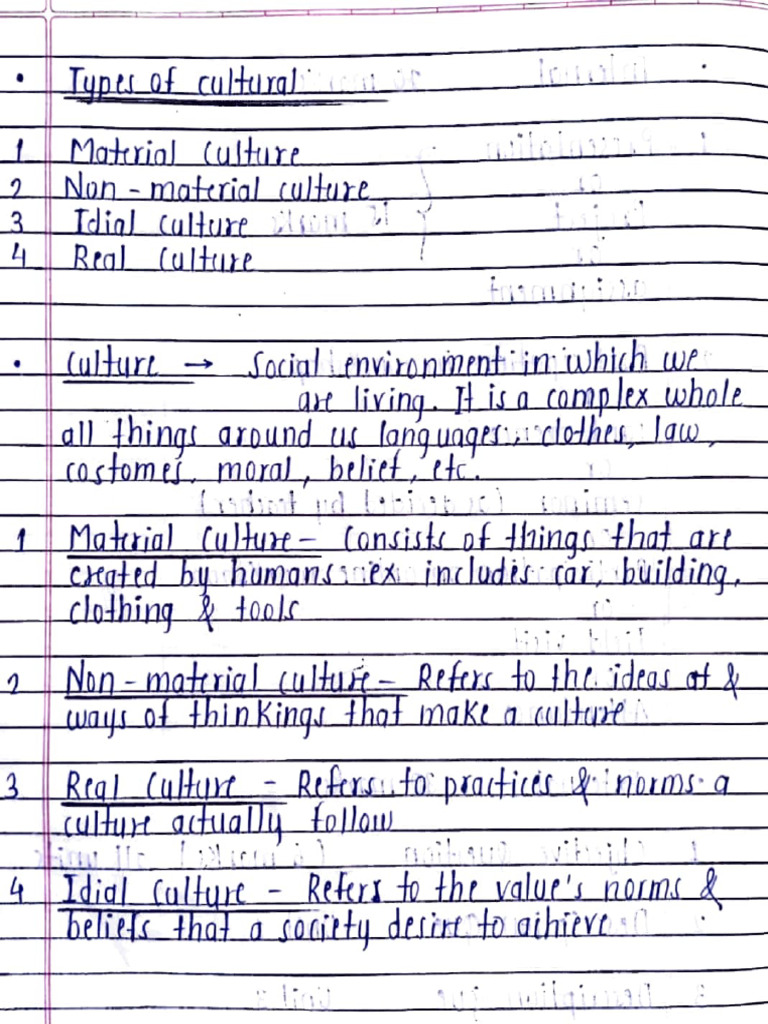 Co-Curriculum Notes | PDF | Cultural Diversity | Cognition