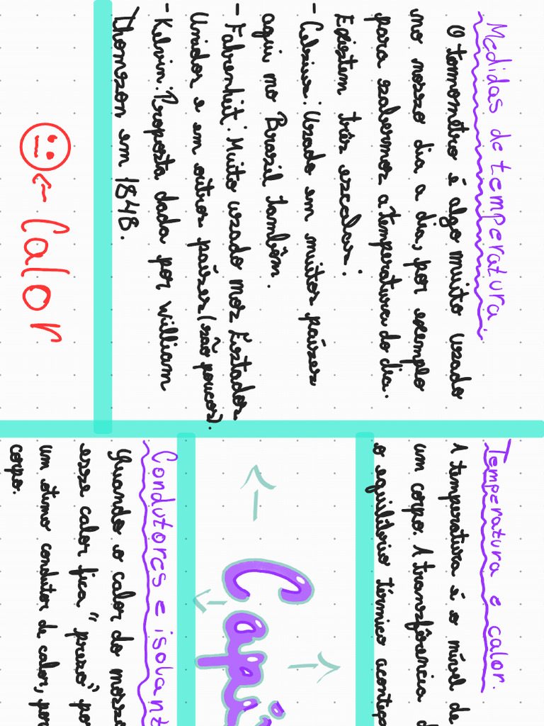 Mapa Mental Cap 1 | PDF