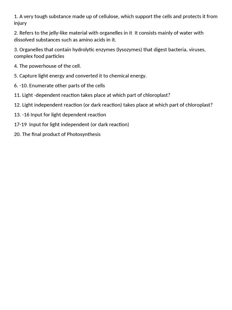A Very Tough Substance Made Up of Cellulose | PDF