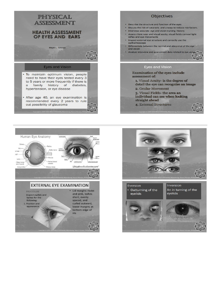 Eyes Ears PPT STD | PDF