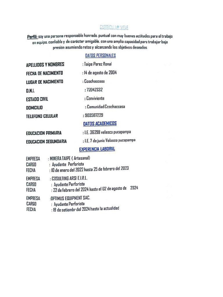 curriculum vitae RONAL 2024 | PDF