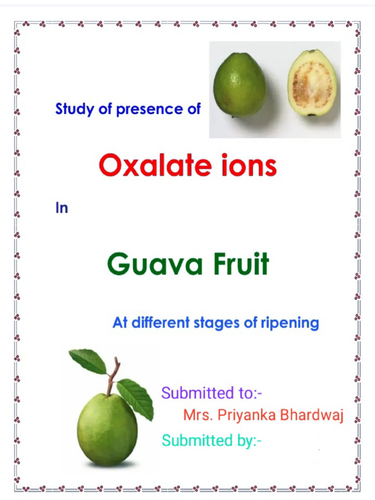 Study of Presence of Oxalate Ions in Guava | PDF