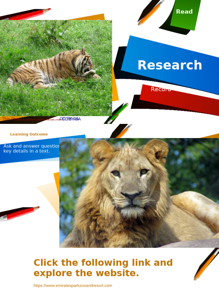 Zoo Research and Activity Guide | PDF