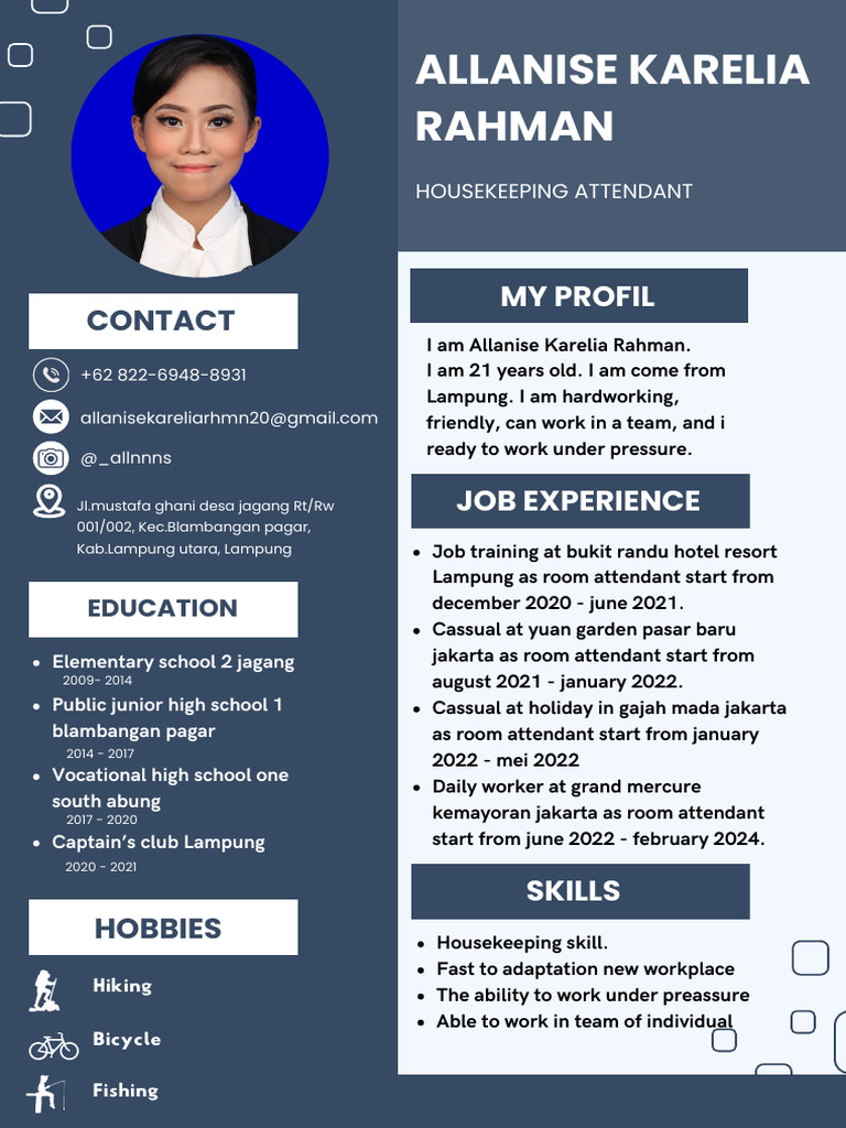 Allanise CV HK | PDF