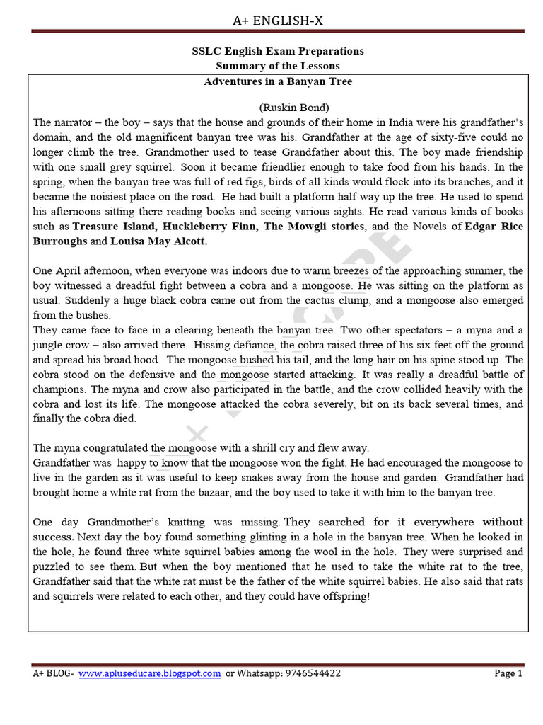 SSLC English Chapter 1 Summaries | PDF