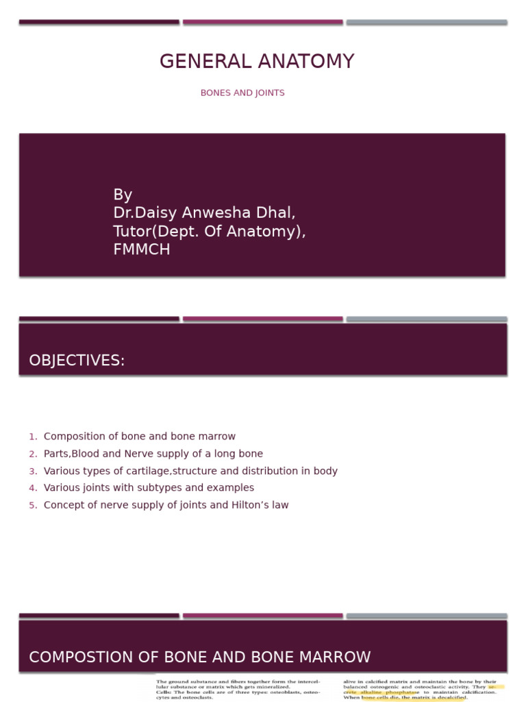 Gen Anat Bone | PDF