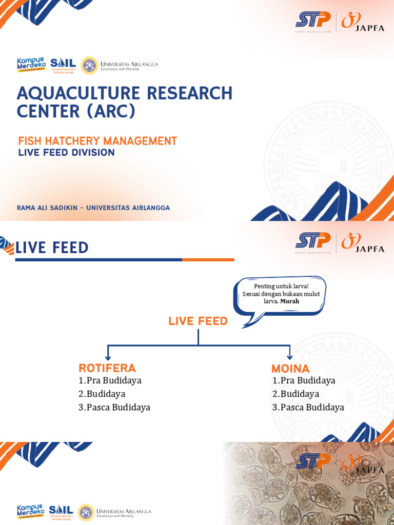 SAIL Final Presentation | PDF