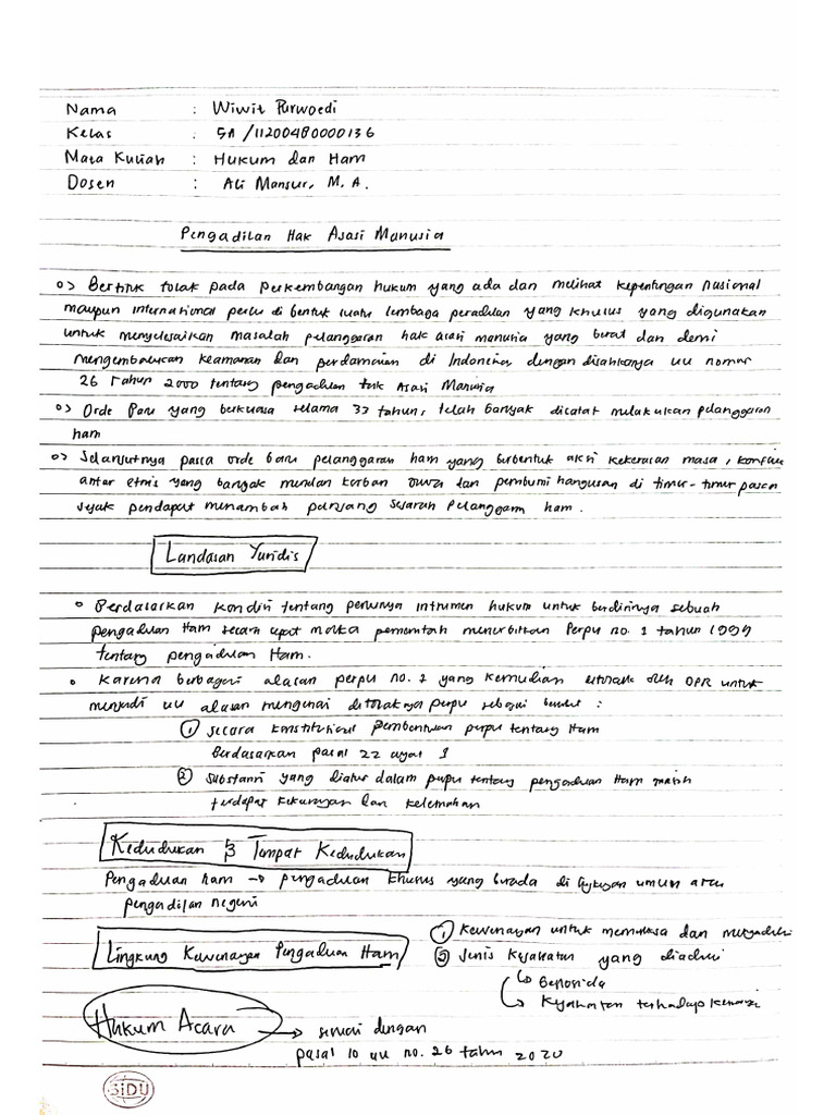 Pengadilan Hak Asasi Manusia | PDF